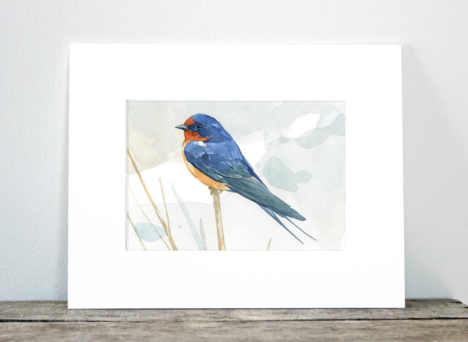 Barn Swallow Watercolor Print | Fine Art by Studio Tuesday for HERE. a ...