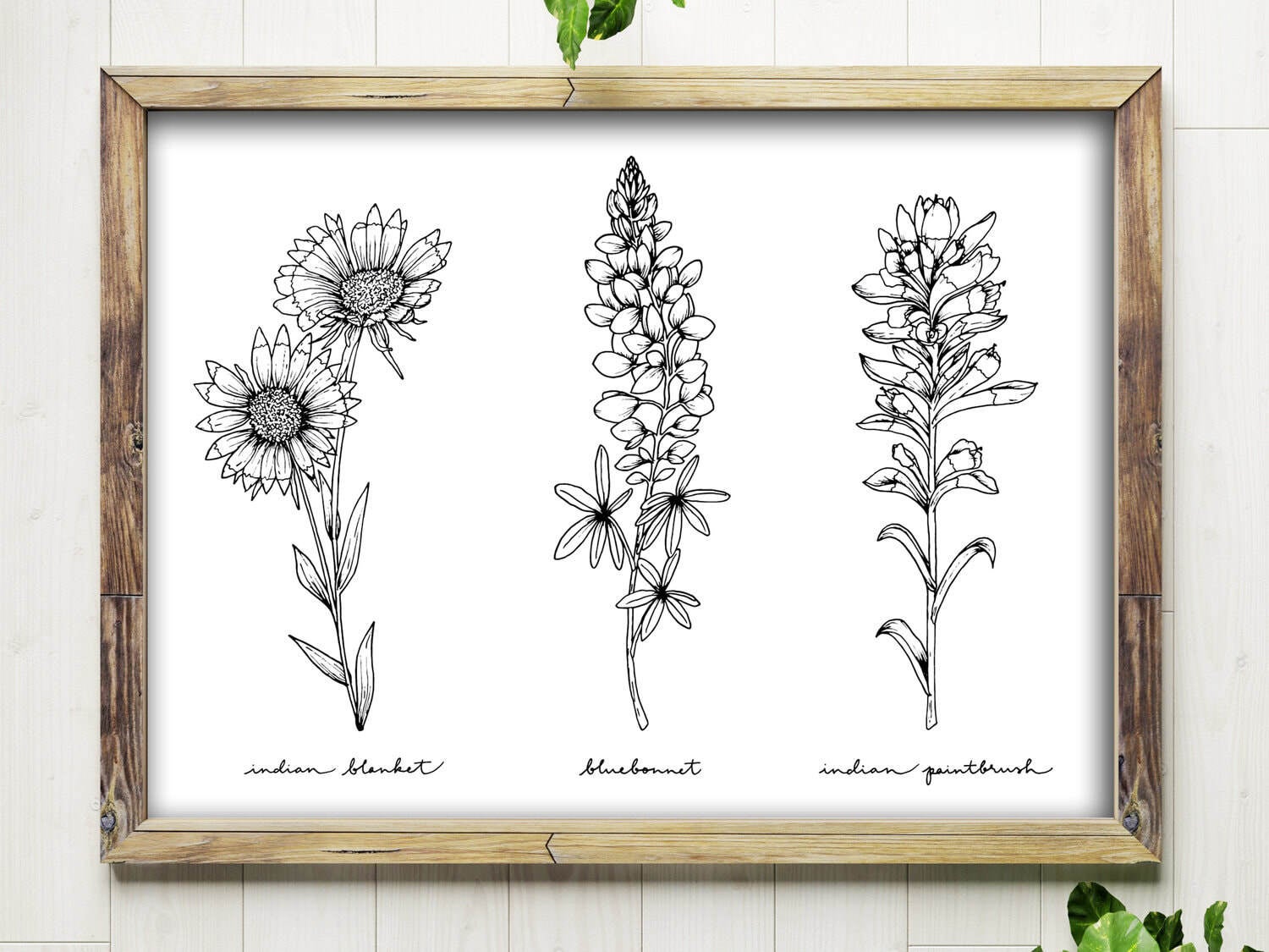 Wildflowers Trio Art Print | HERE. a pop-up shop | HERE. a pop-up shop
