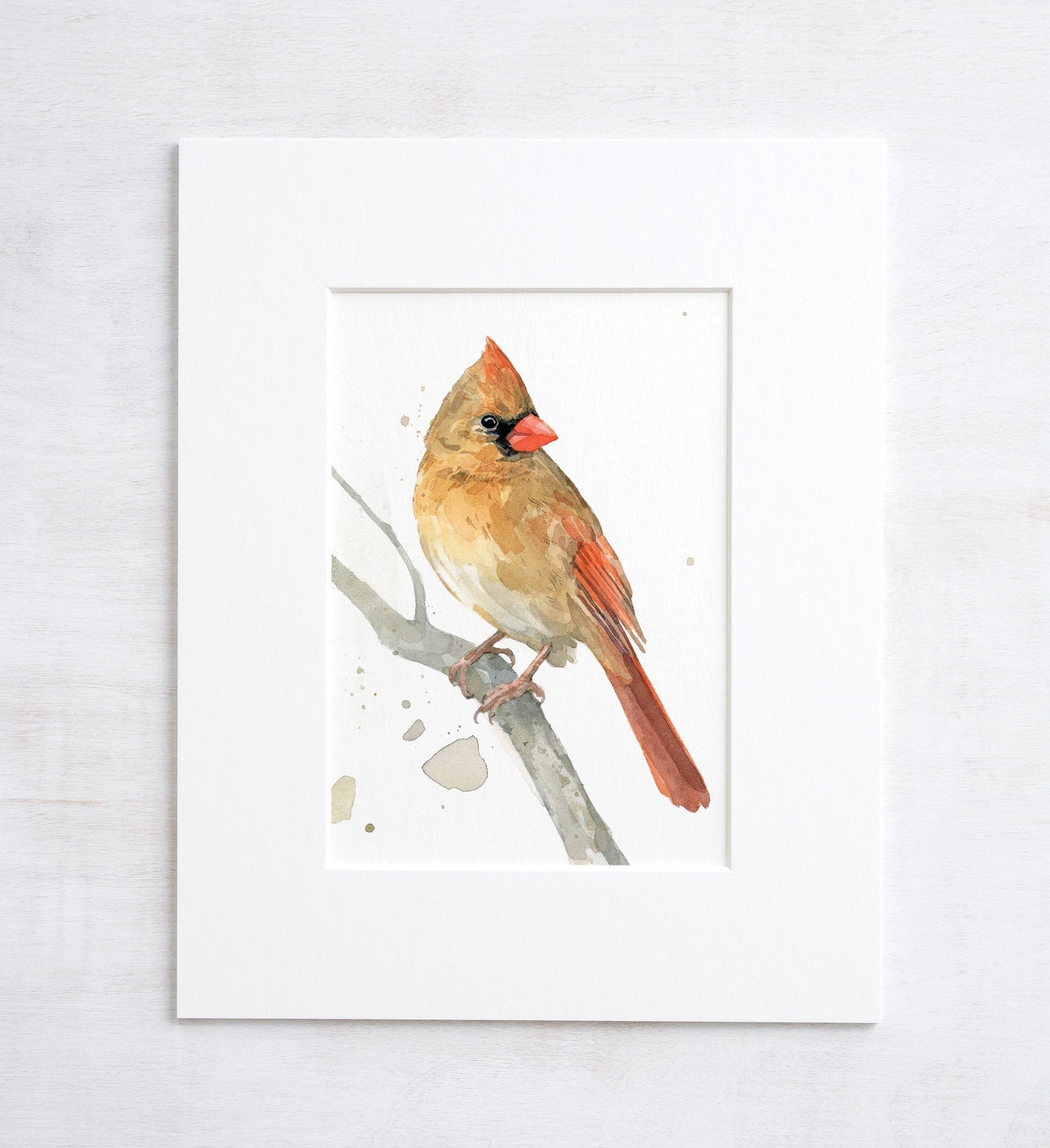 Female Cardinal Drawing