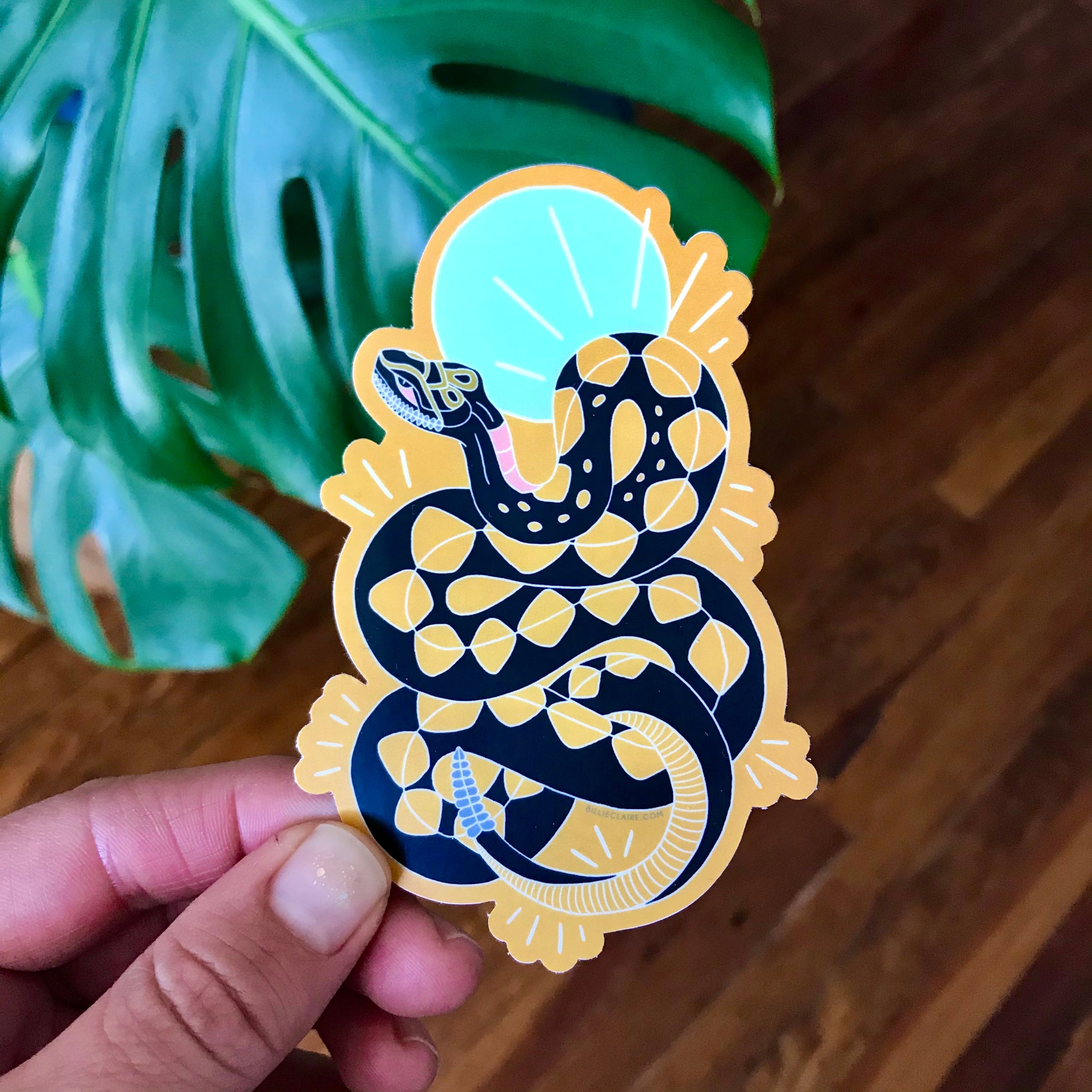 Desert Snake Sticker | Laptop Water Bottle Sticker | Billie Claire Handmade | HERE. a pop-up ...
